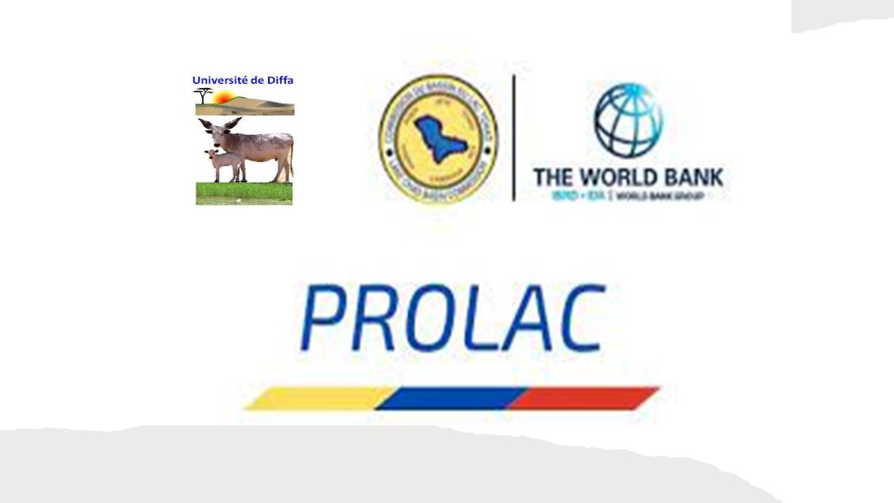 L'Université de Diffa participe à l'atelier de planification ...
